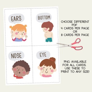 Parts of the Body Flash Cards Instant Download Kids Learning Human ...