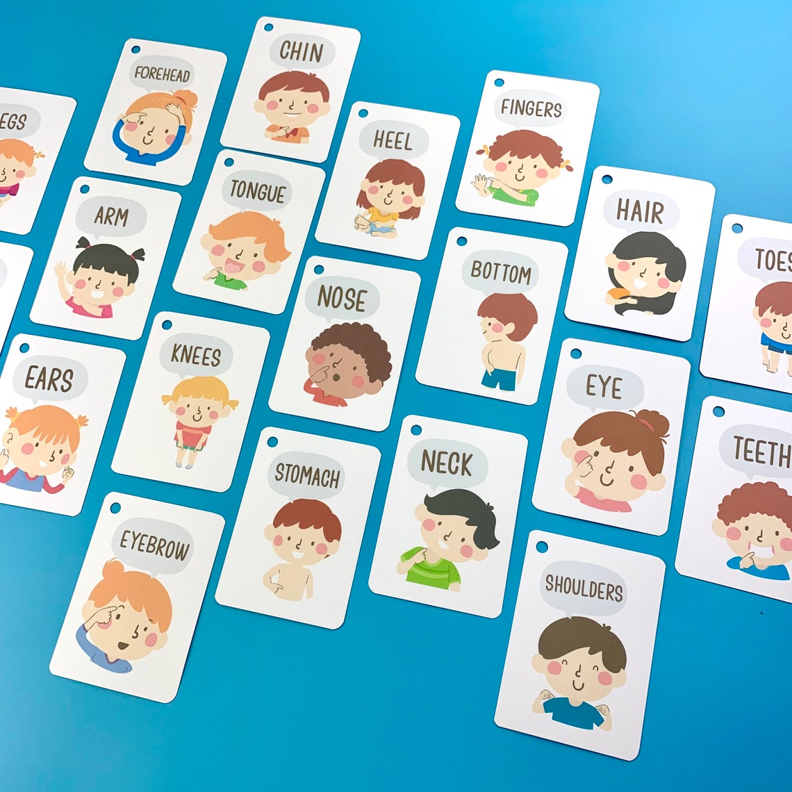 Parts of the Body Flash Cards Instant Download Kids Learning Human ...