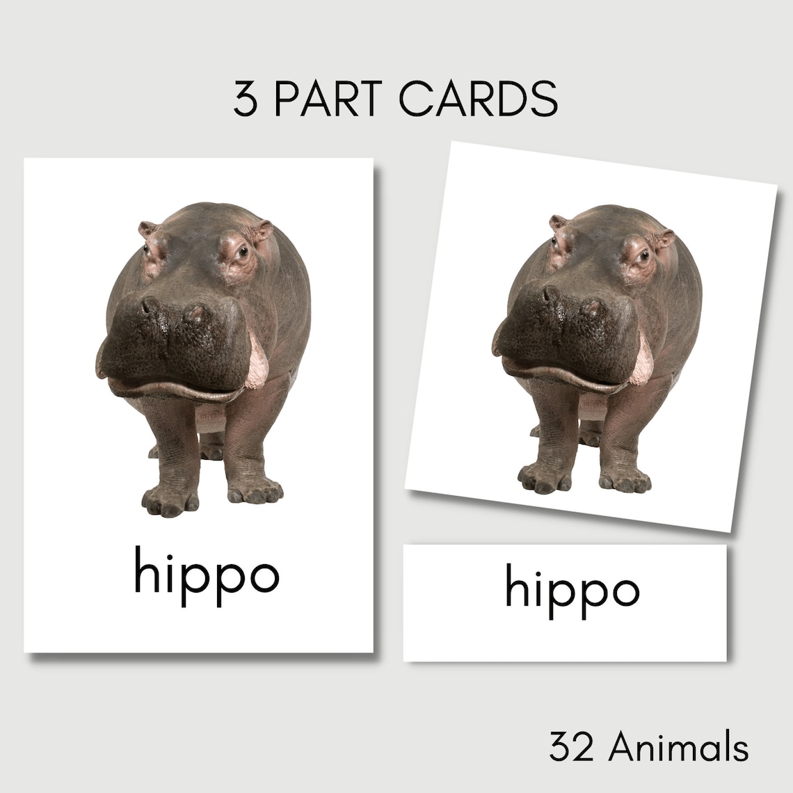 Zoo Animal Cards Flash Cards Children Toddler Printable Digital ...