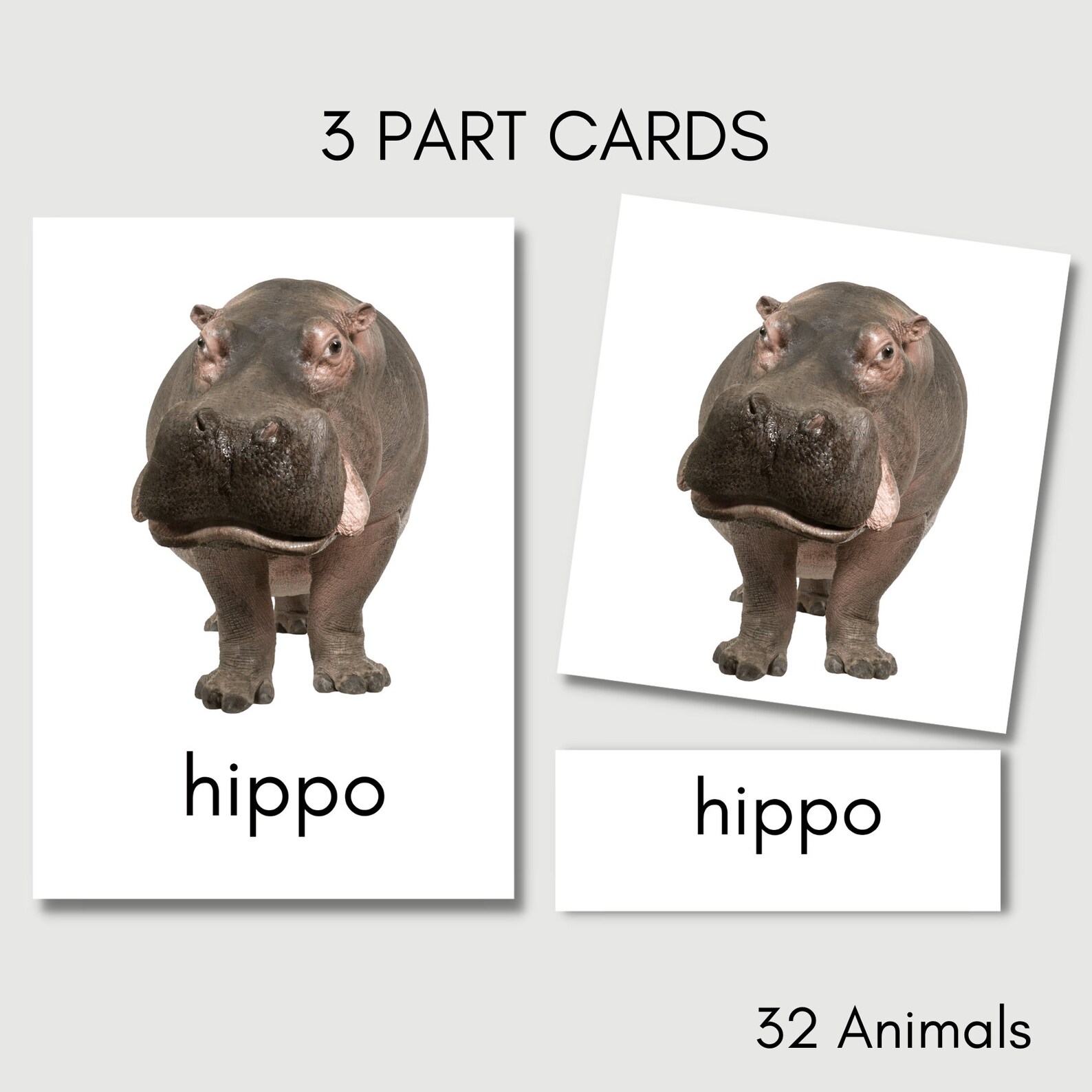 Zoo Animal Cards Flash Cards Children Toddler Printable Digital ...