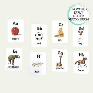 Alphabet Flash Cards Preschool Kids Children First Words Printable ...