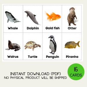 Sea Animals Flash Cards Children Educational Learning PDF Printable ...