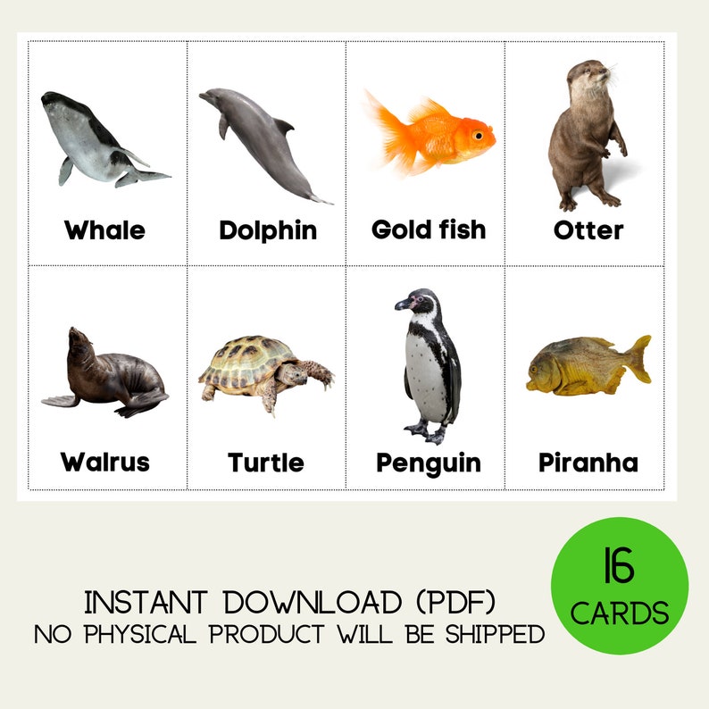 Sea Animals Flash Cards Children Educational Learning PDF Printable ...