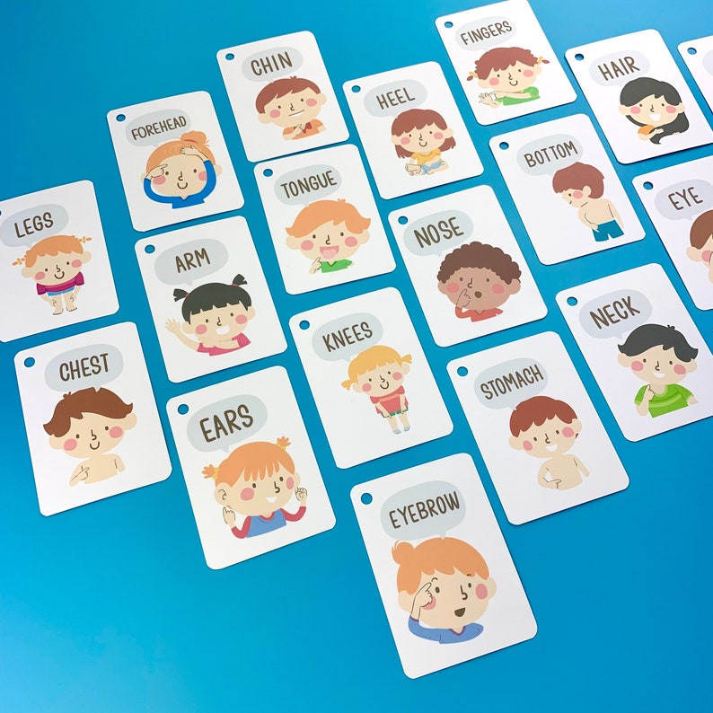 Parts of the Body Flash Cards Instant Download Kids Learning Human ...