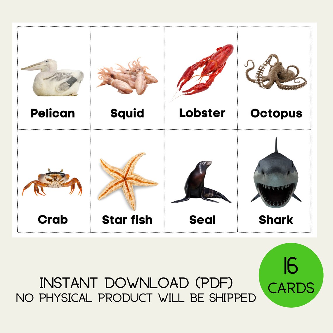 Sea Animals Flash Cards Children Educational Learning PDF Printable ...