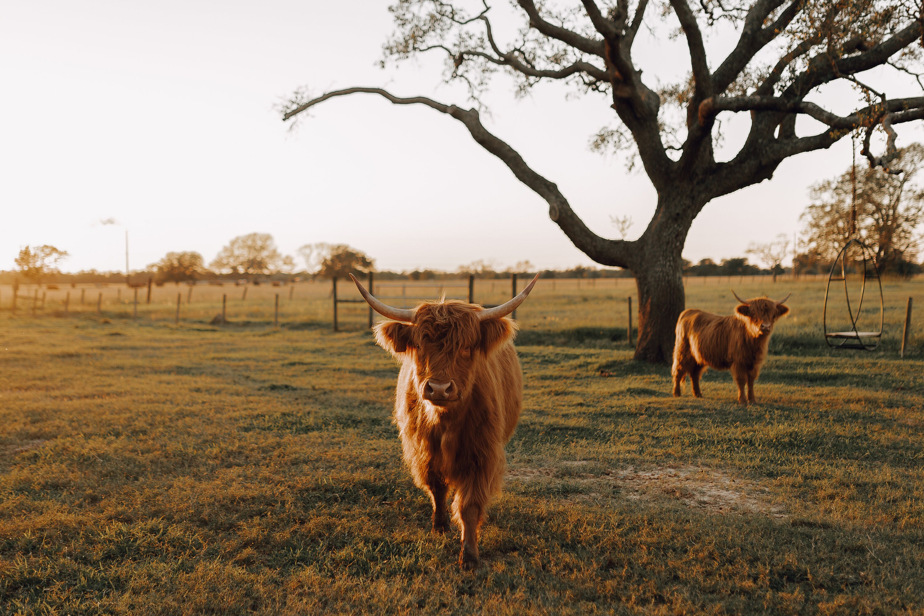 Home Decor - Photography Print | Digital Print | Western Print Set ...