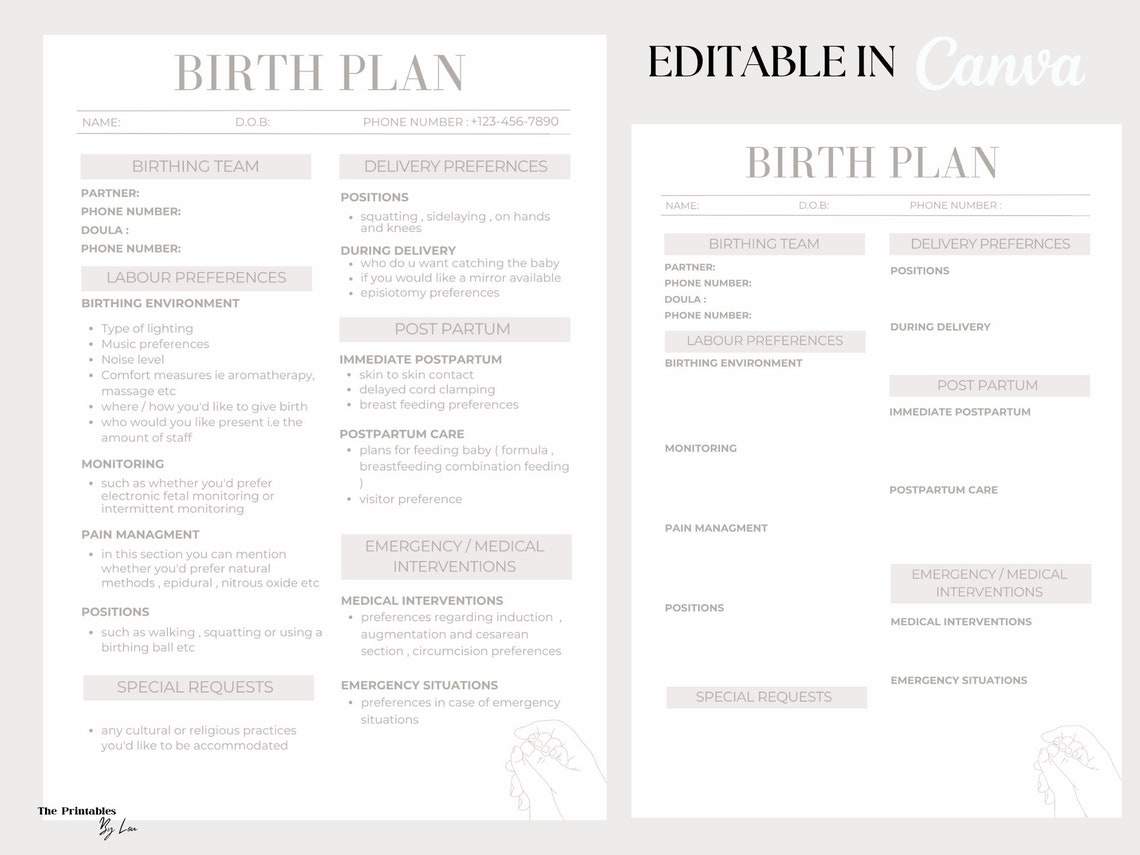 Editable Birth Plan Template Printable Birth Plan Birth Plan Labour and ...