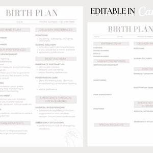 Editable Birth Plan Template Printable Birth Plan Birth Plan Labour and ...