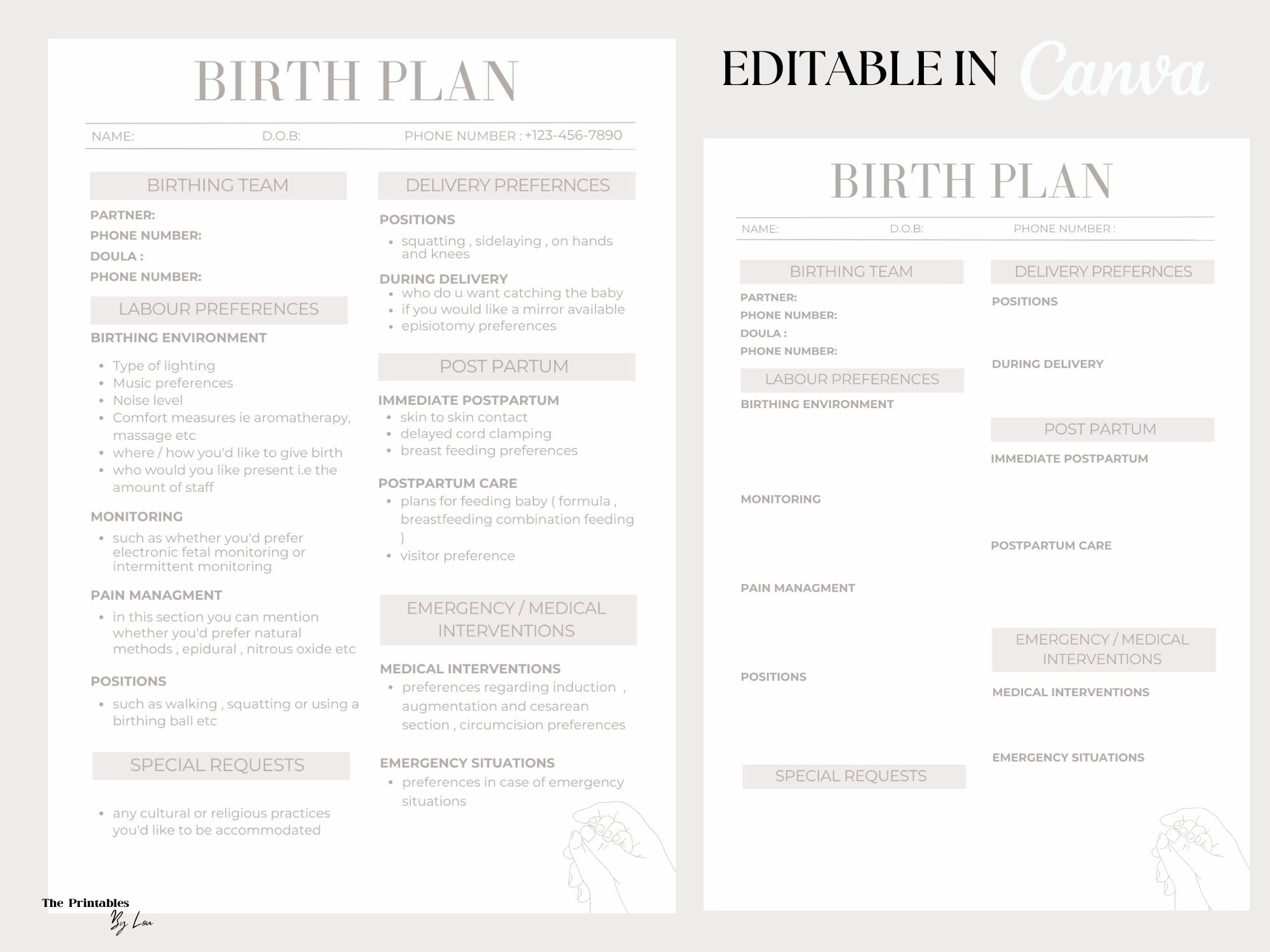 Editable Birth Plan Template Printable Birth Plan Birth Plan Labour and ...