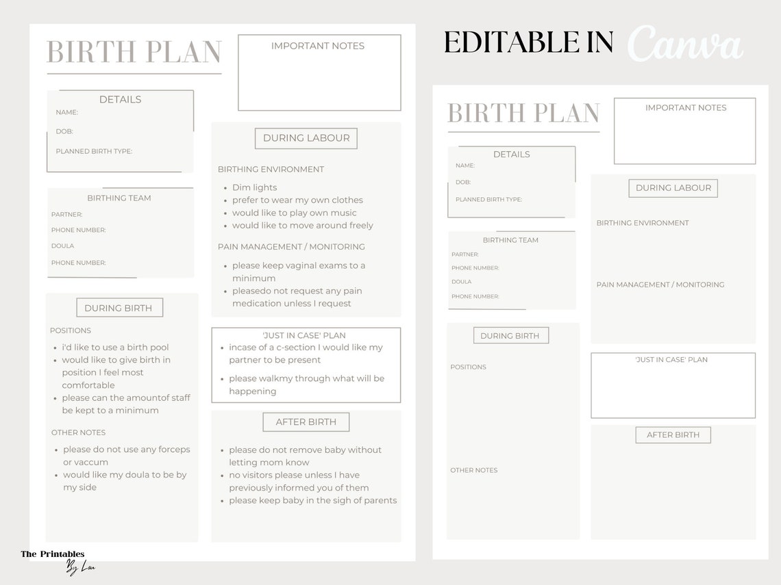 Editable Birth Plan Template Printable Birth Plan Birth - Etsy