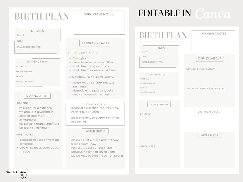 Editable Birth Plan Template Printable Birth Plan Birth - Etsy