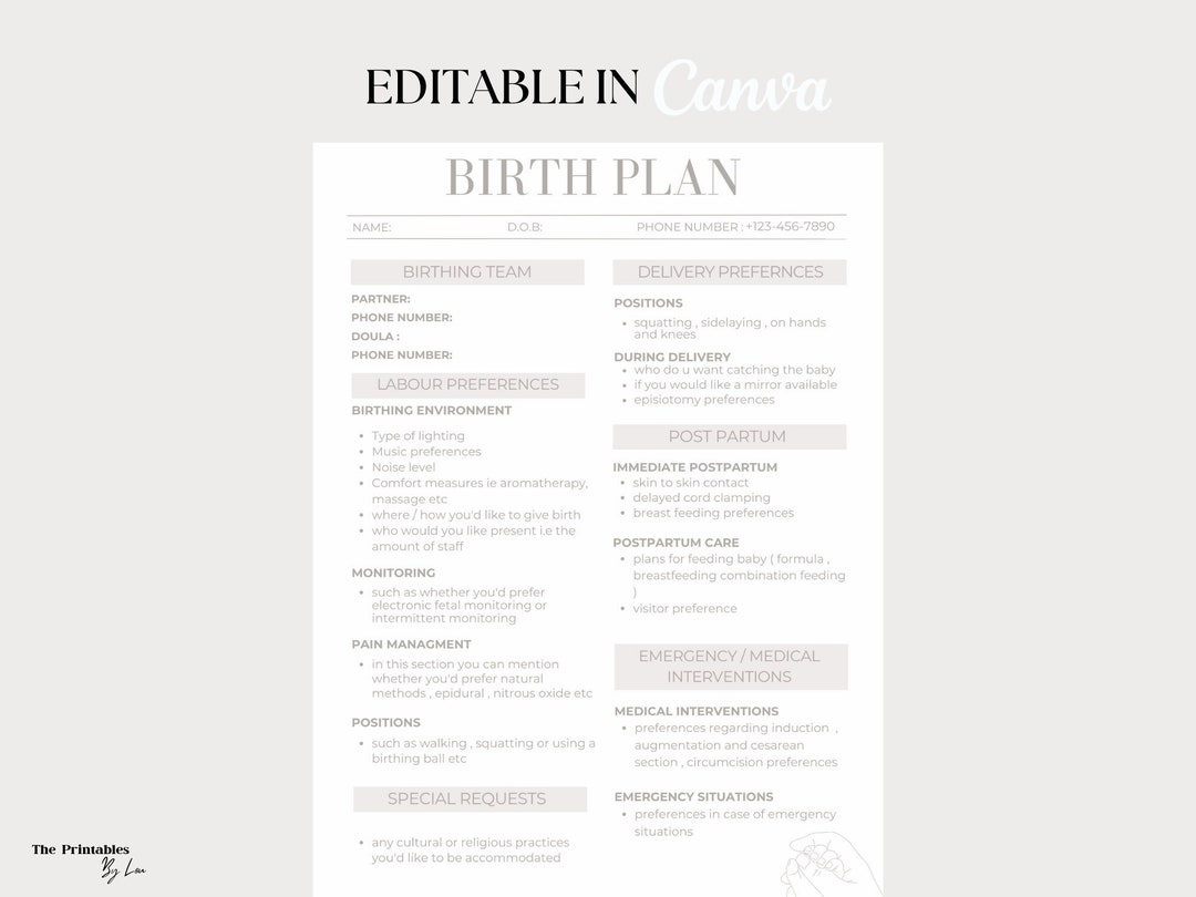Editable Birth Plan Template Printable Birth Plan Birth Plan Labour and ...