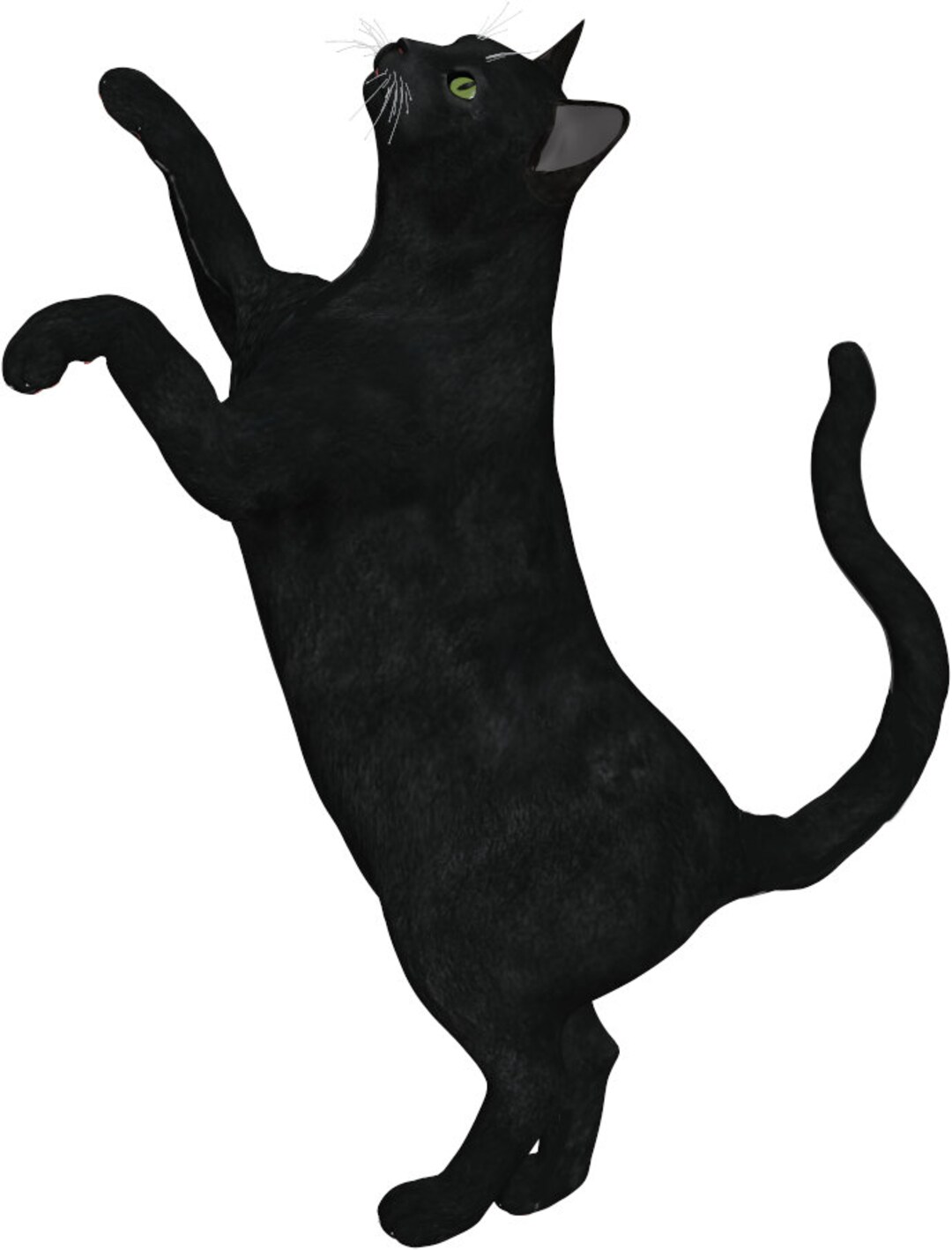 Cat Svg - Etsy