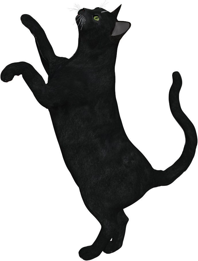 Cat Svg - Etsy