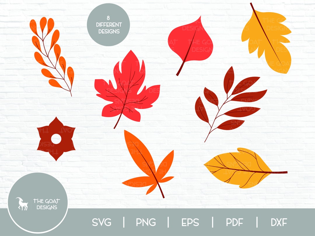 Autumn Leaves Svg Fall Leaves Svg Leaves Svg Bundle Fall - Etsy
