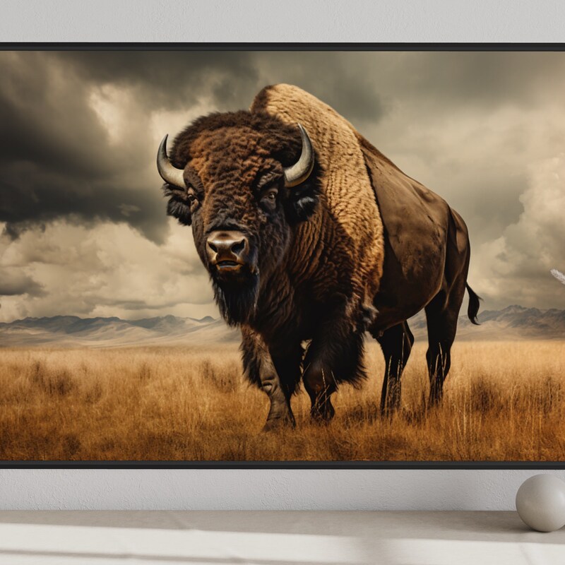 Bison Wall Art - Etsy