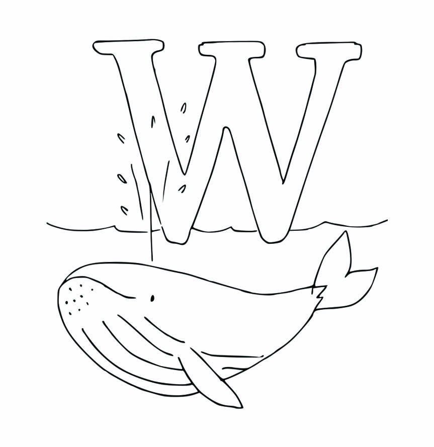 Large Colouring Animal Alphabet Poster for Children - Etsy