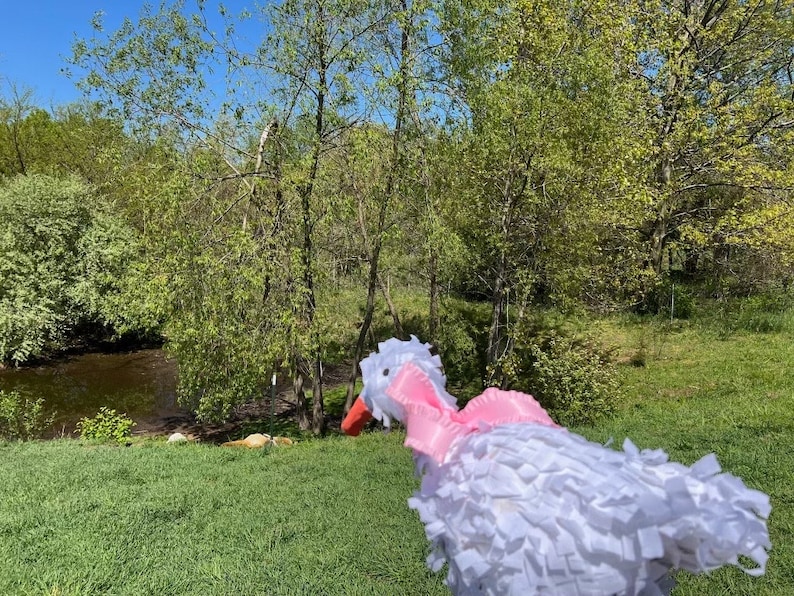 Goose, Gosling, Duck Piñata Statue -- Durable Handmade Paper Mache - Etsy