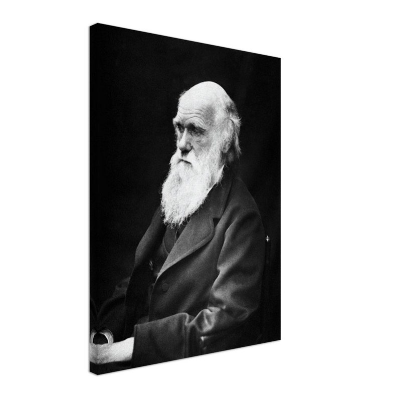 Charles Darwin - Canvas Print - Etsy
