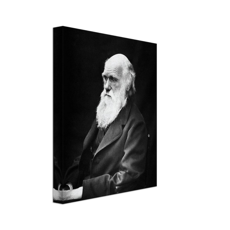 Charles Darwin - Canvas Print - Etsy