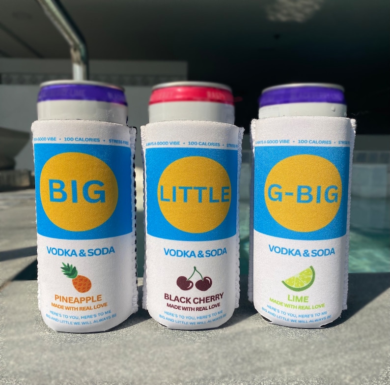 Big Little Reveal Gift, Big Little Cozies, Slim Can Cooler, Big Little ...