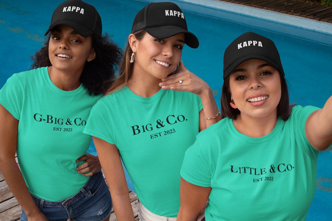 Big Little Shirts Sorority Reveal Little and Co Shirt Big - Etsy