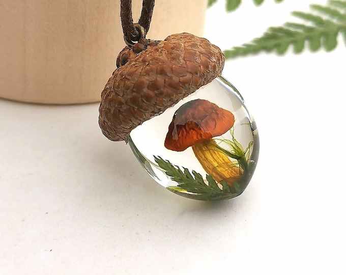 Natur Pendant, Botanic Pendant, Acorn Pendant, Acorn Mushroom and Moss ...