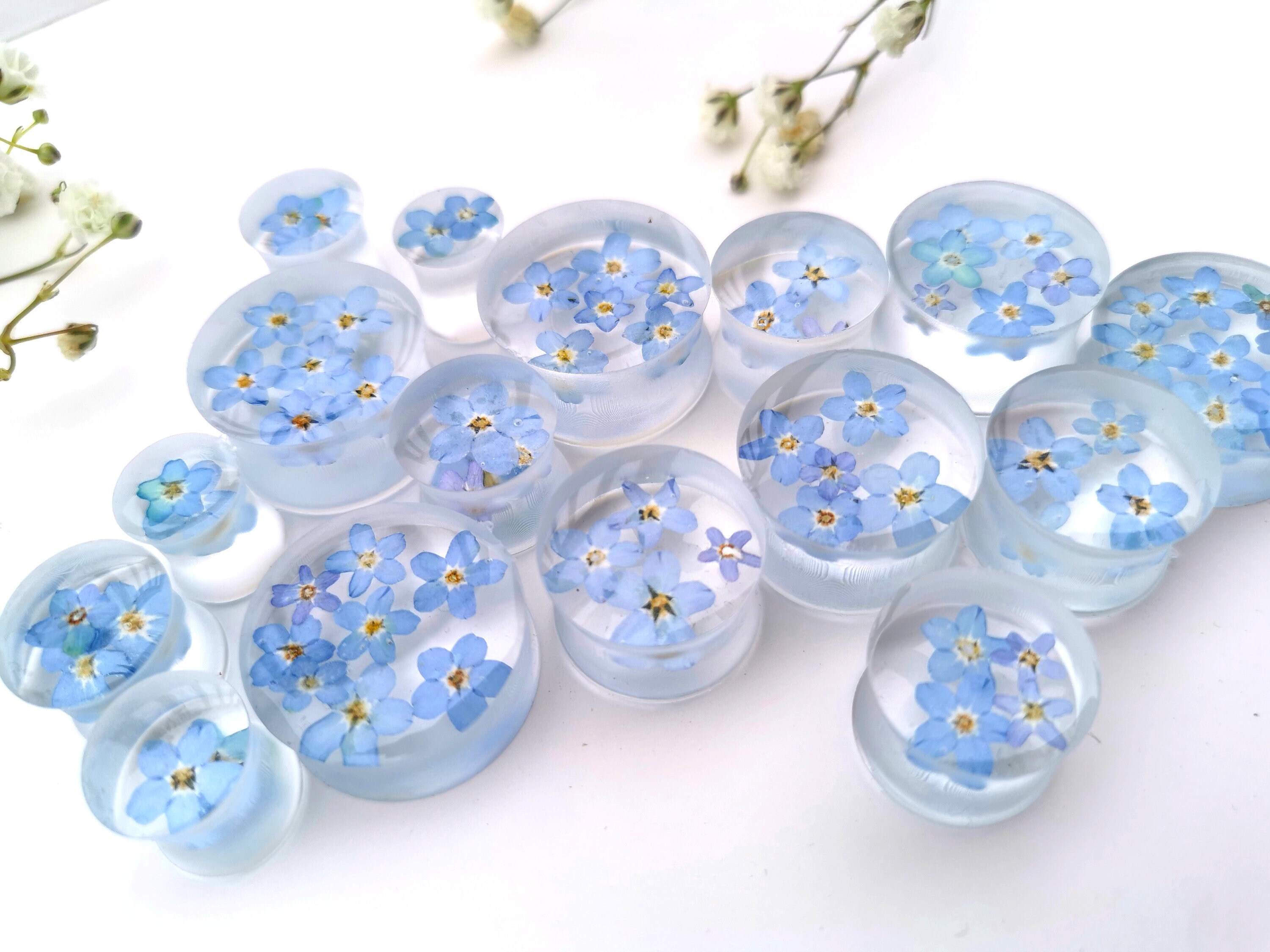 Real Pressed Forget Me Not Flower Plugs, Weddings Gauges, Birth Plugs ...