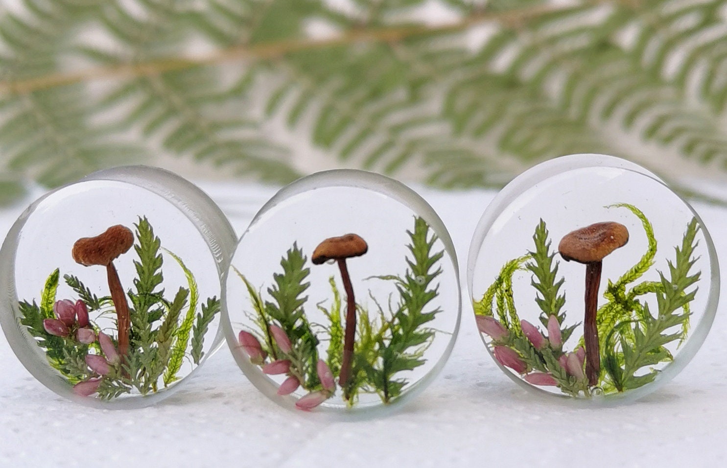 Mushroom Gauges, Double Flared Plugs , Resin Plug With Mushroom and ...