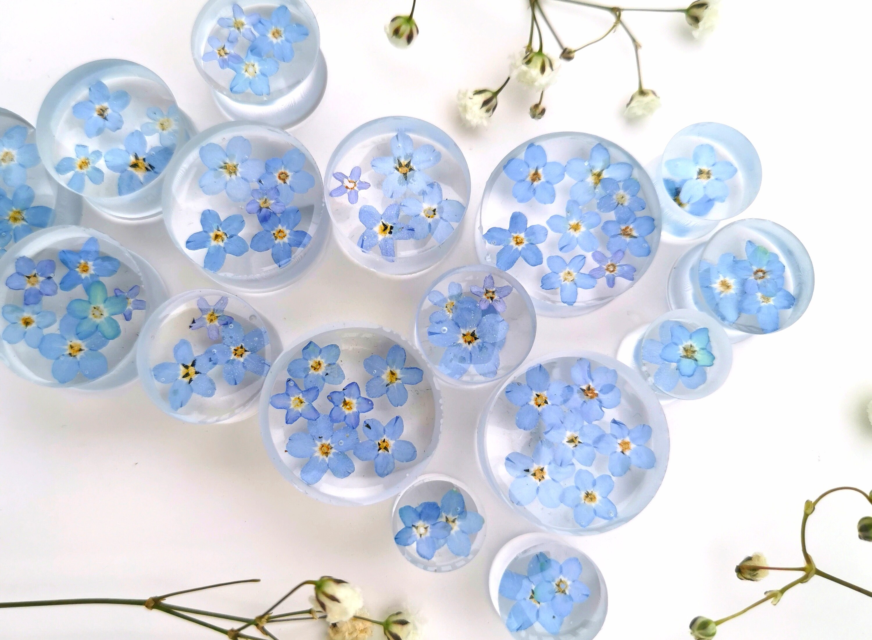 Real Pressed Forget Me Not Flower Plugs, Weddings Gauges, Birth Plugs ...