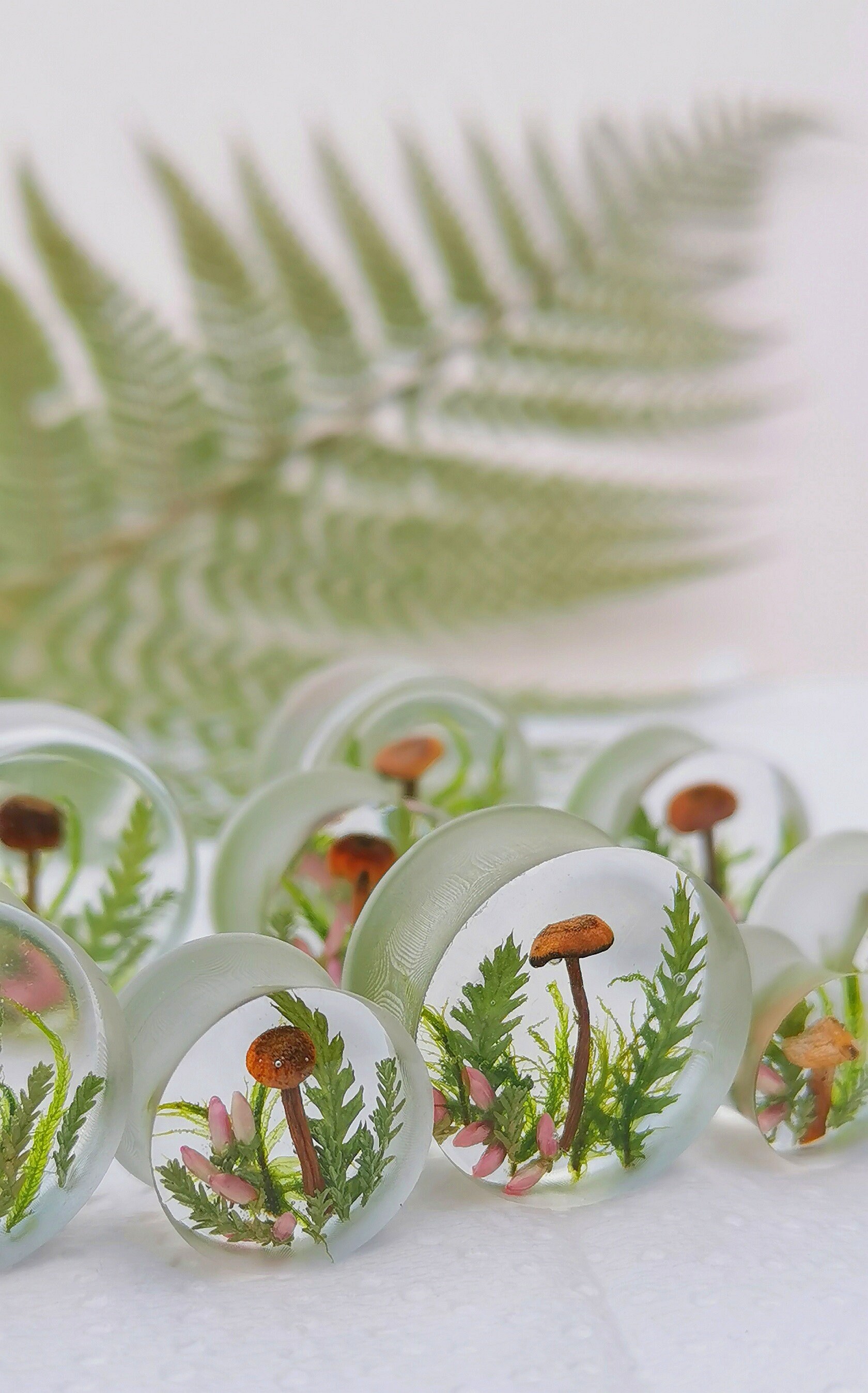 Mushroom Gauges, Double Flared Plugs , Resin Plug With Mushroom and ...