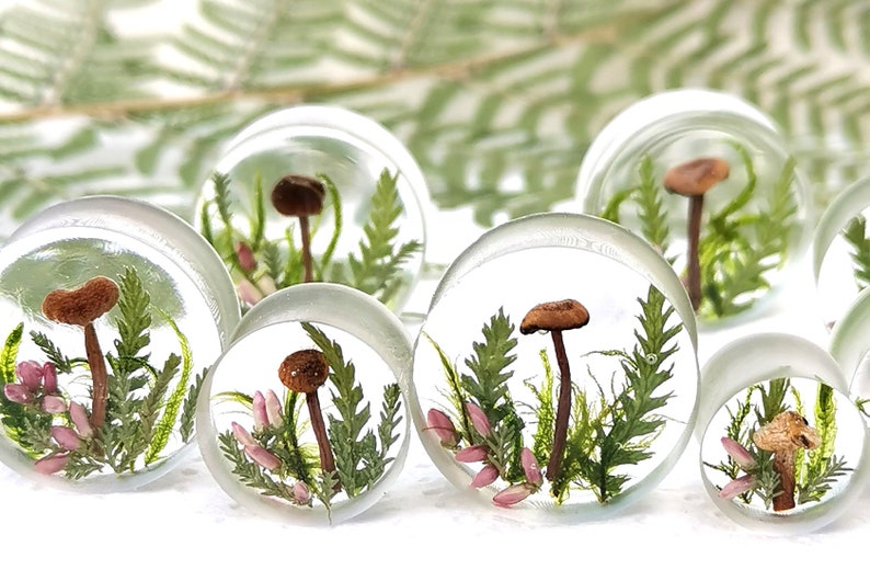 Mushroom Gauges, Double Flared Plugs , Resin Plug With Mushroom and ...