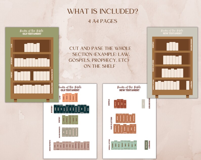 Books of the Bible Activity Old Testament Printable New - Etsy