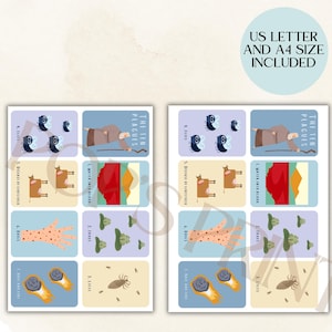 The Ten Plagues Flashcards| the Ten Plagues Activity| Bible Lessons for ...