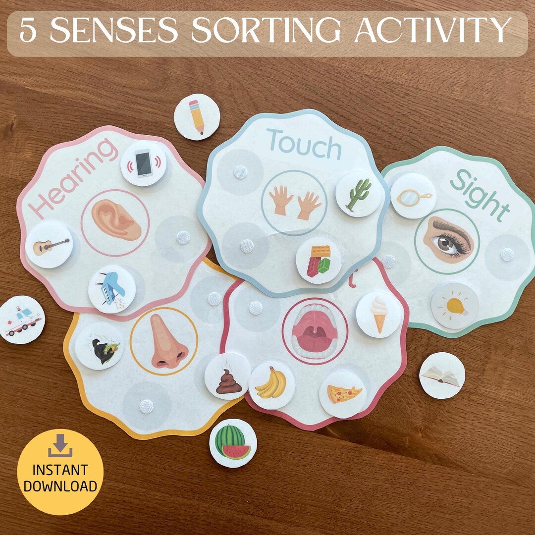 5 Senses Sorting Activity , Five Senses Printables, Homeschool Resource ...