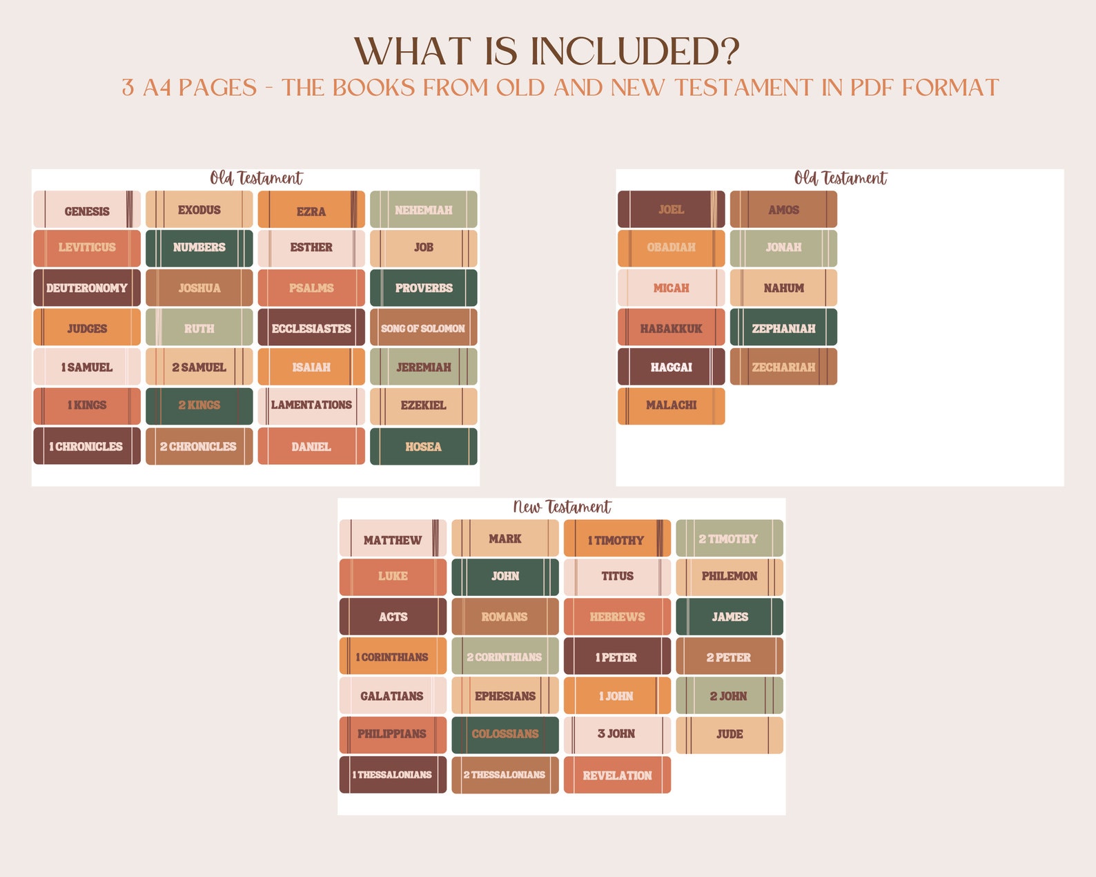 Books of the Bible Activity| Old Testament Printable| New Testament ...