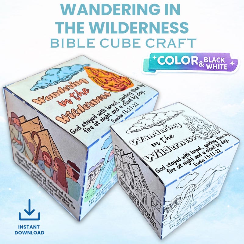 Bibles From Israel - Etsy