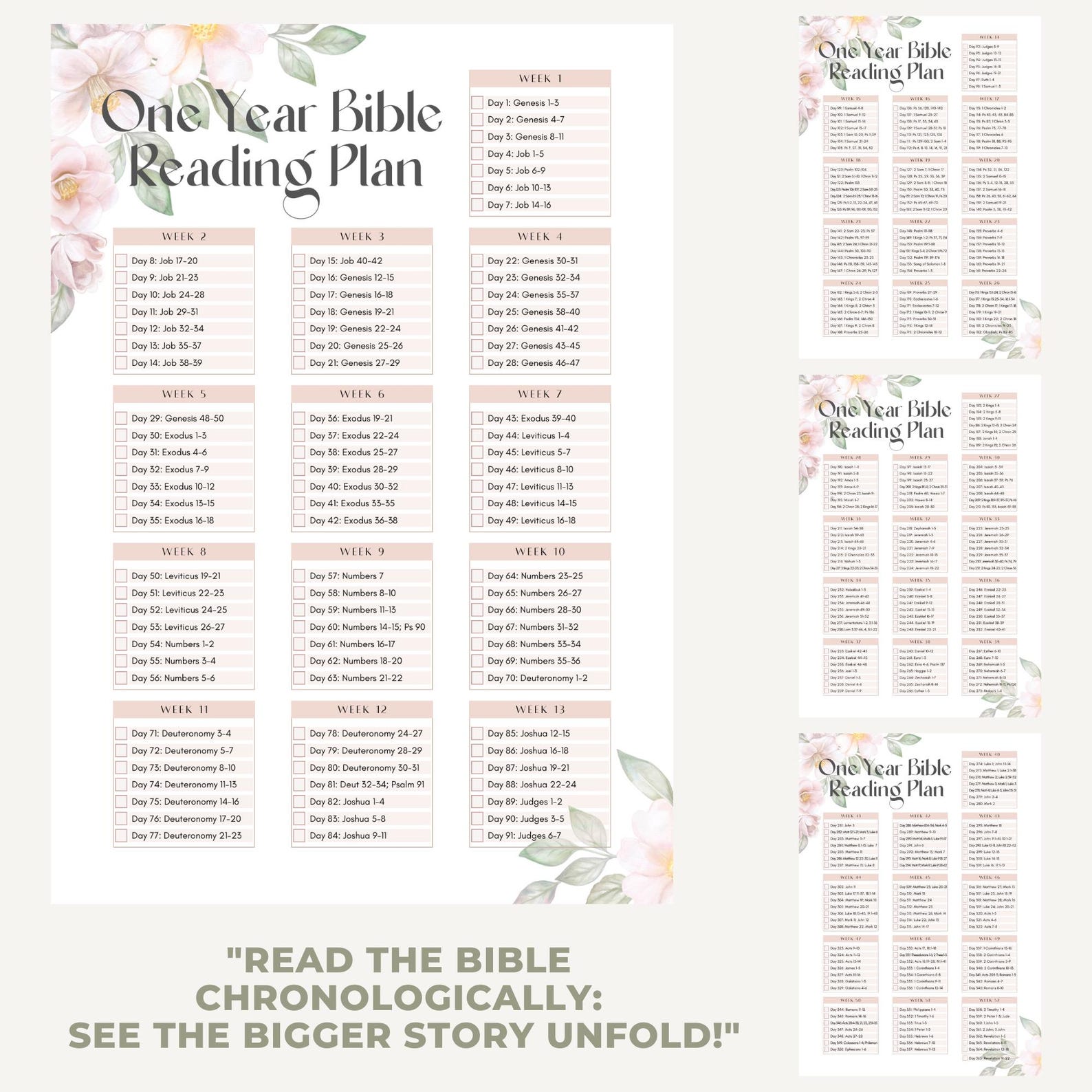 Printable Annual Chronological Bible Reading Plan: One-year Bible ...