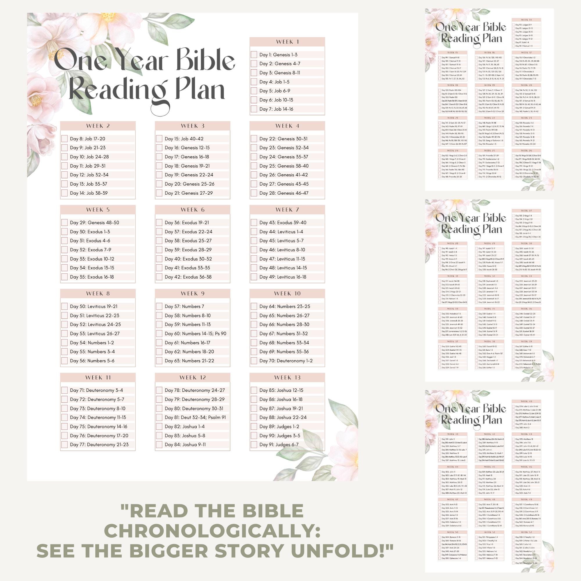 Printable Annual Chronological Bible Reading Plan: One-year Bible ...