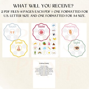 5 Senses Sorting Activity , Five Senses Printables, Homeschool Resource ...