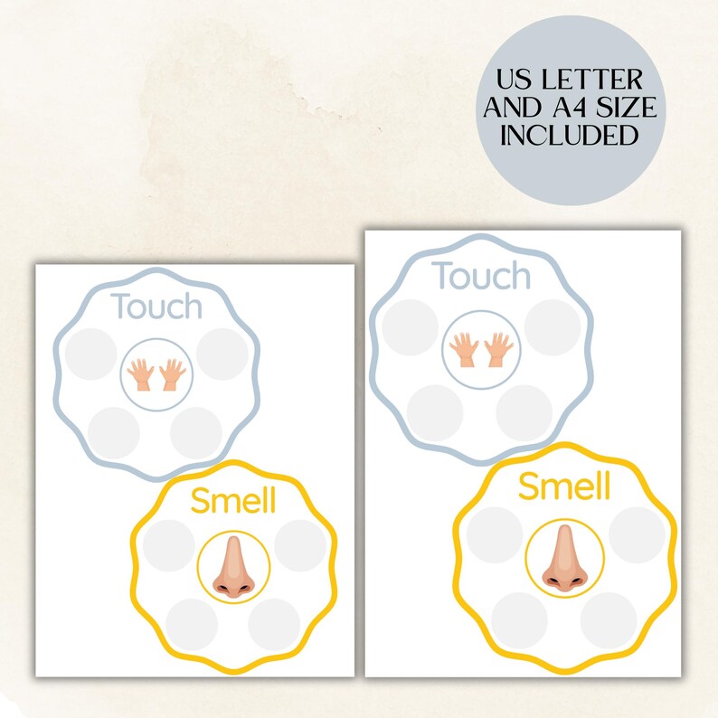 5 Senses Sorting Activity , Five Senses Printables, Homeschool Resource ...