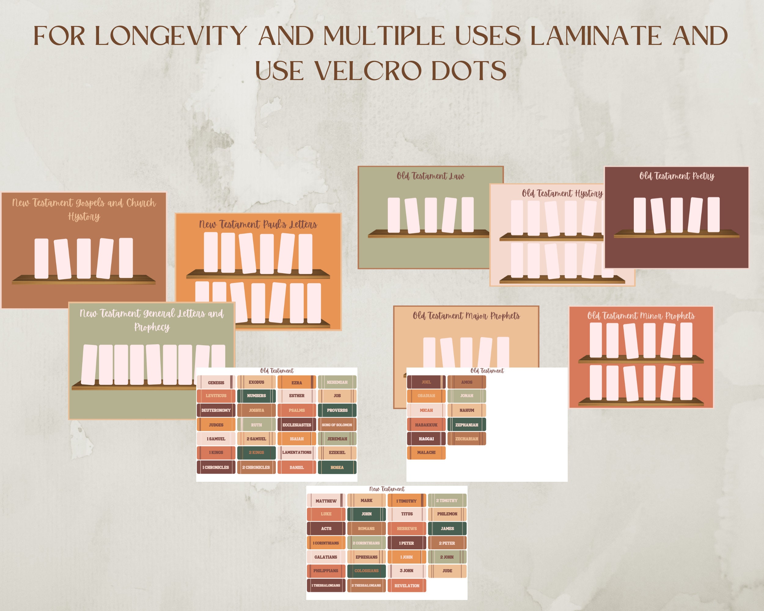 Books of the Bible Activity Old Testament Printable New - Etsy
