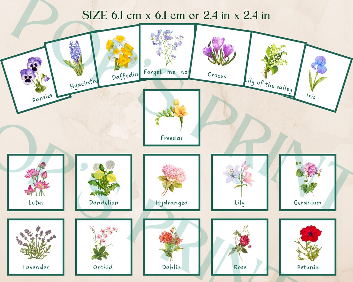 Flowers Memory Game Flashcardshomeschool Memory - Etsy