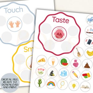 5 Senses Sorting Activity , Five Senses Printables, Homeschool Resource ...