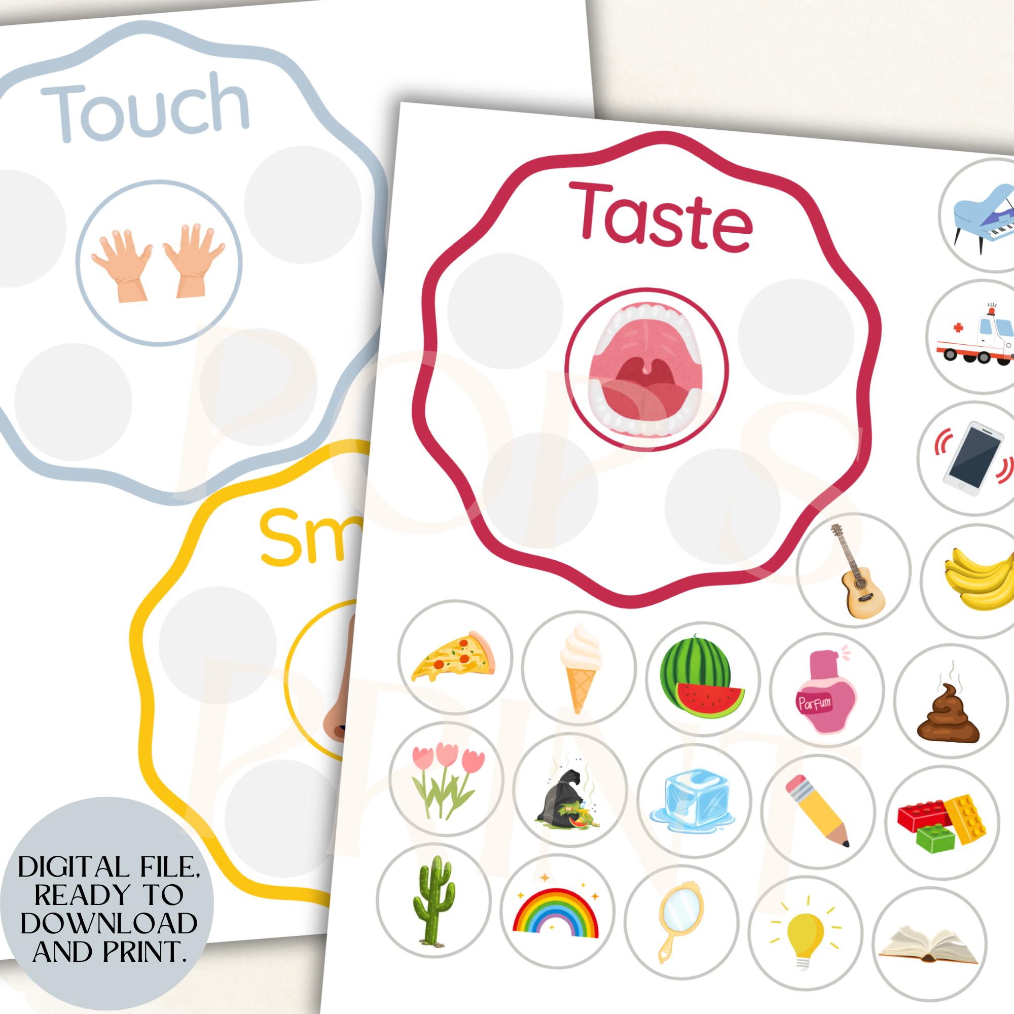 5 Senses Sorting Activity , Five Senses Printables, Homeschool Resource ...