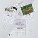2026 Fox Wall Calendar 8.5x11 Woodland Wildlife Calendar, Red Fox ...