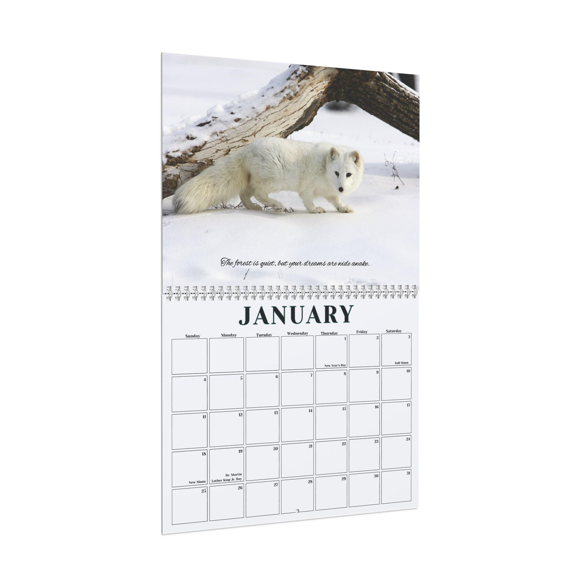 2026 Fox Wall Calendar 8.5x11 Woodland Wildlife Calendar, Red Fox ...