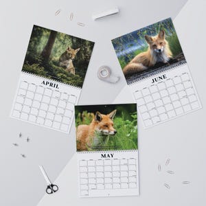2026 Fox Wall Calendar 8.5x11 Woodland Wildlife Calendar, Red Fox ...