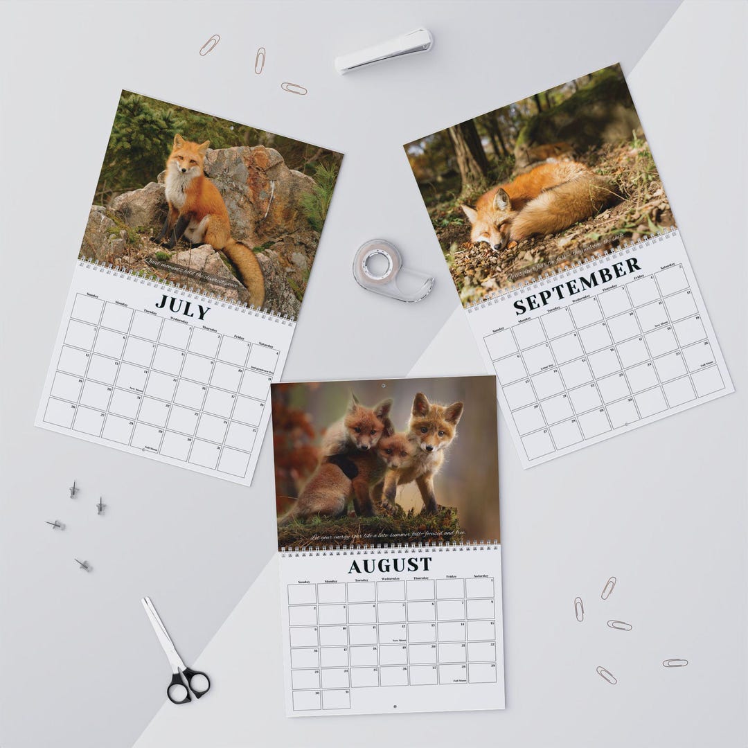 2026 Fox Wall Calendar 8.5x11 Woodland Wildlife Calendar, Red Fox ...