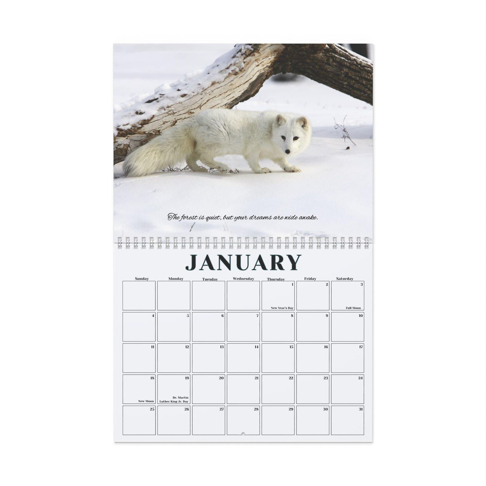 2026 Fox Wall Calendar 8.5x11 Woodland Wildlife Calendar, Red Fox ...